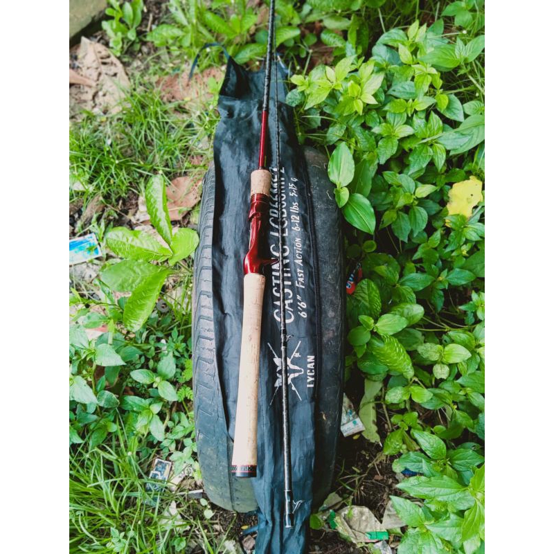 Jual Rod custom lycan casting 12 lbs ring full fuji alconite | Shopee ...