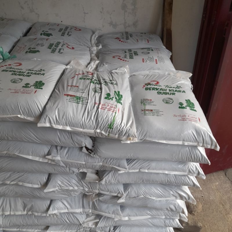 Jual media tanam humus daun bambu 1kg | Shopee Indonesia