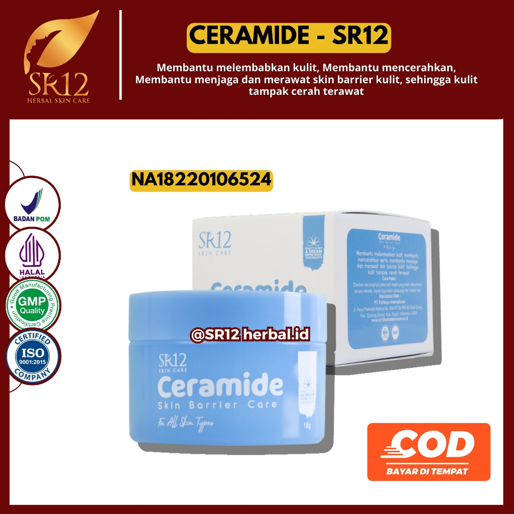 Jual SR12 CERAMIDE SKIN BARRIER CARE SR12 / 7X CERAMIDE / MOISTURIZER CREAM / PELEMBAB | Shopee ...