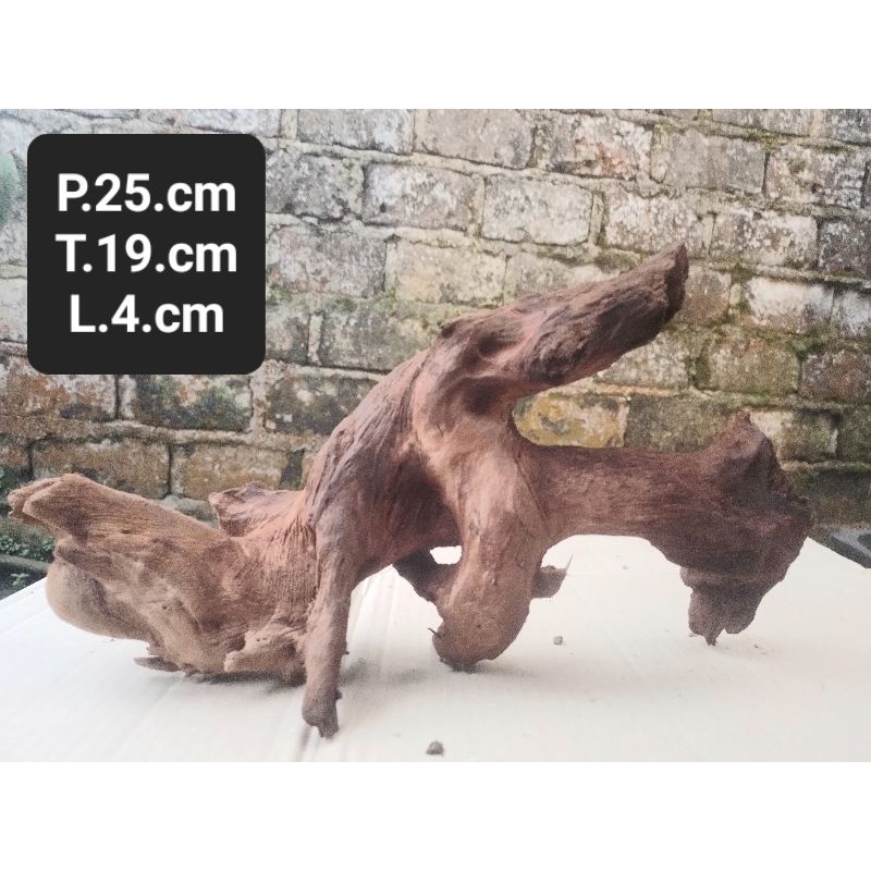 Jual kayu rentek mini alami akuascape | Shopee Indonesia