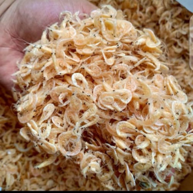 Jual udang rebon | Shopee Indonesia