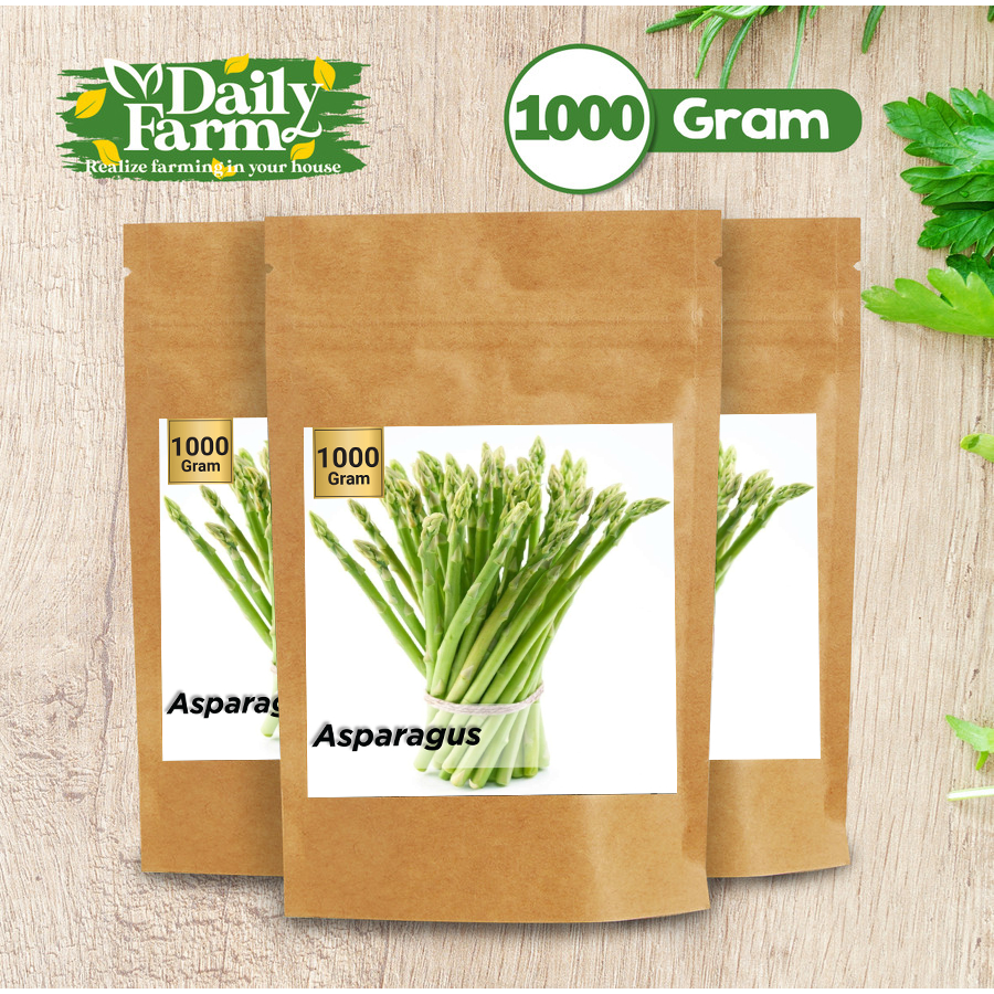Jual Benih Sayur Asparagus Marry Washington - Sayur Asparagus - (1000 ...