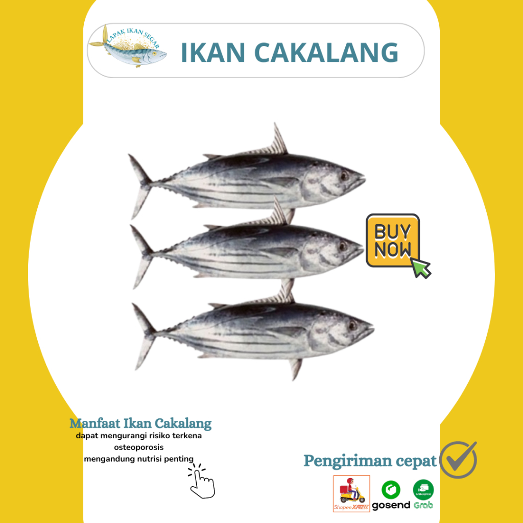 Jual Ika Cakalang/ Cakalang Frozen Segar 1Kg | Shopee Indonesia