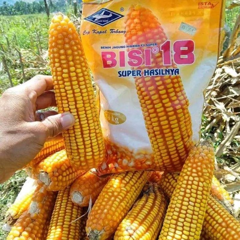 Jual BIBIT JAGUNG BISI 18 GOLD 20KG (RESMI ORI 100%) | Shopee Indonesia