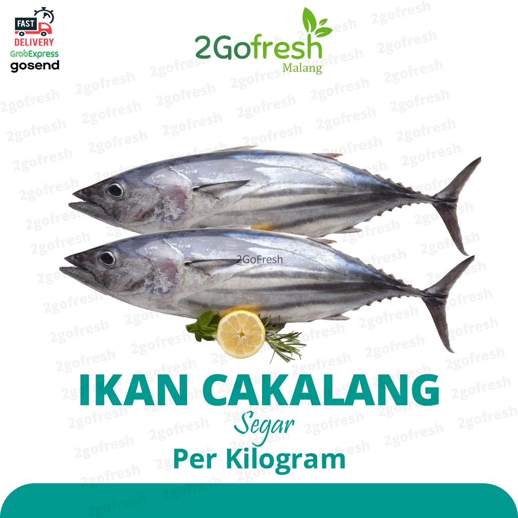 Jual Ikan Cakalang Segar Fresh - Sayur Sayuran | Shopee Indonesia