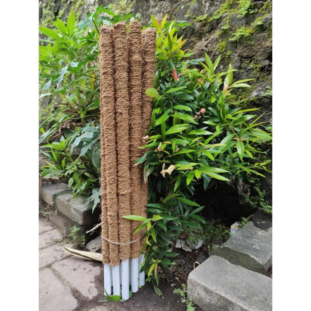 Jual TURUS TANAMAN [PROMO BELI 5 GRATIS 1] Turus penyangga rambatan ...