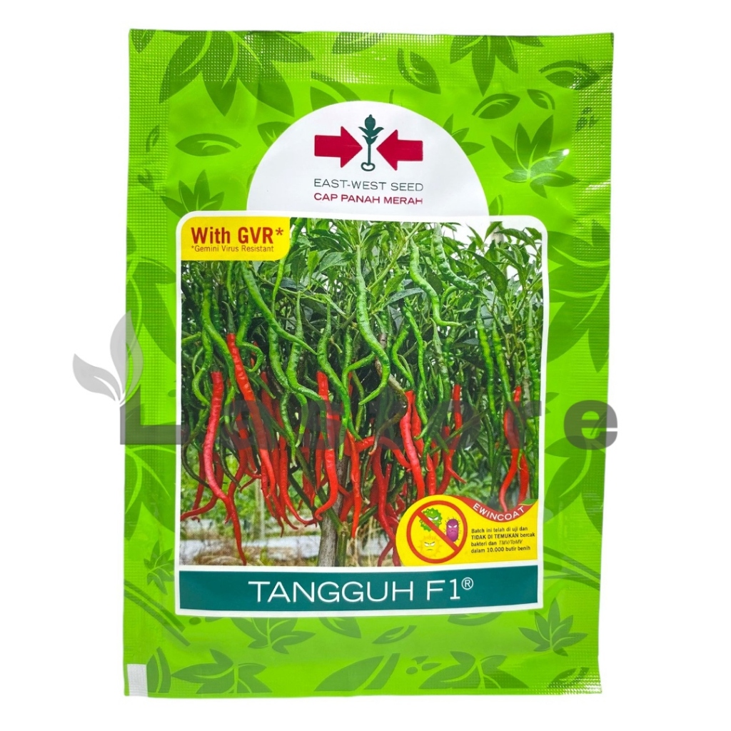 Jual Benih Cabe Cabai Keriting TANGGUH F1 Isi 2000 Butir Cap Panah ...