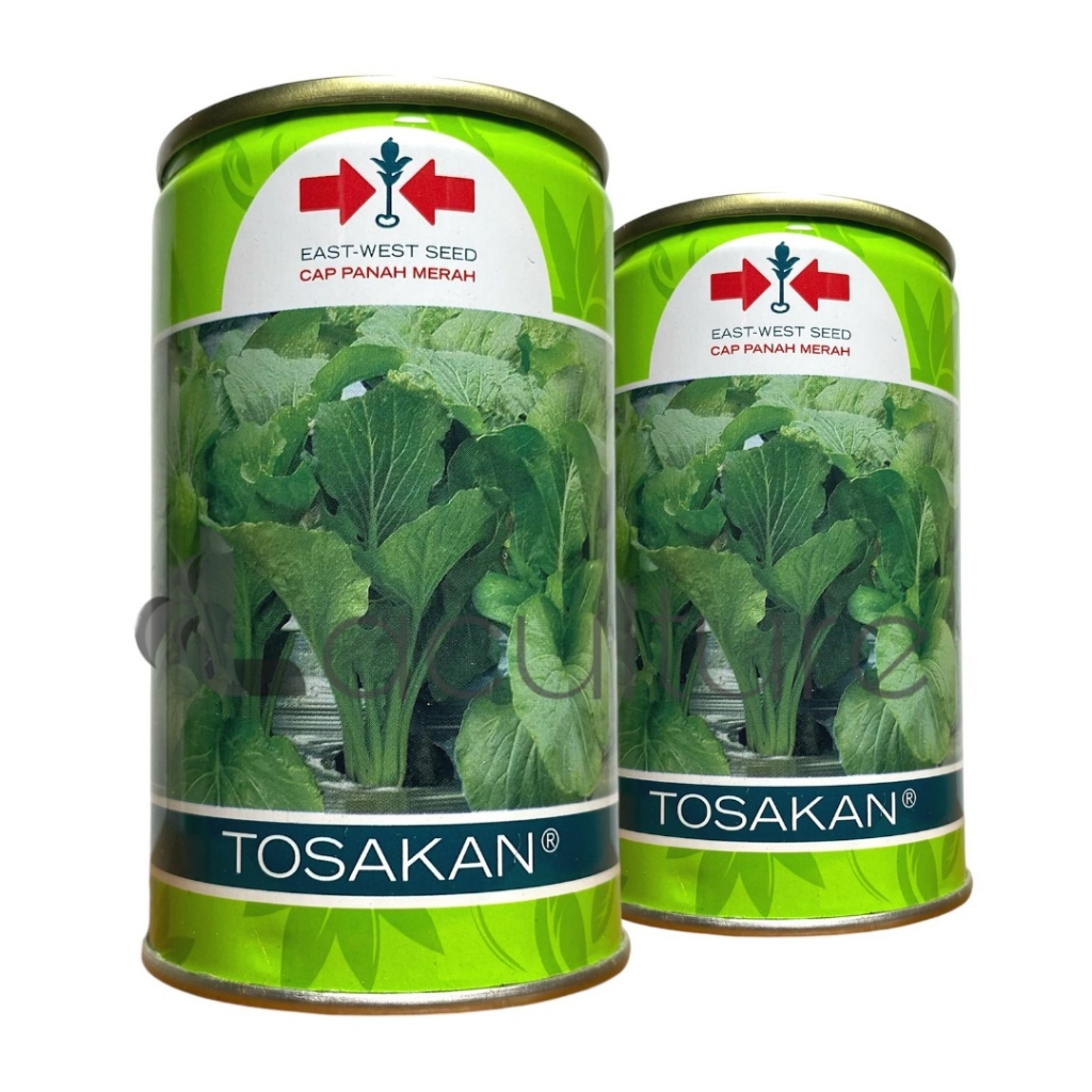 Jual Benih Caisim TOSAKAN Kaleng Isi 100 gram Cap Panah Merah | Shopee ...