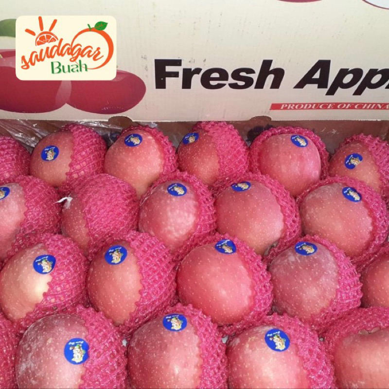 Jual BUAH APEL FUJI RRC MANIS UNTUK JUS 1KG | Shopee Indonesia
