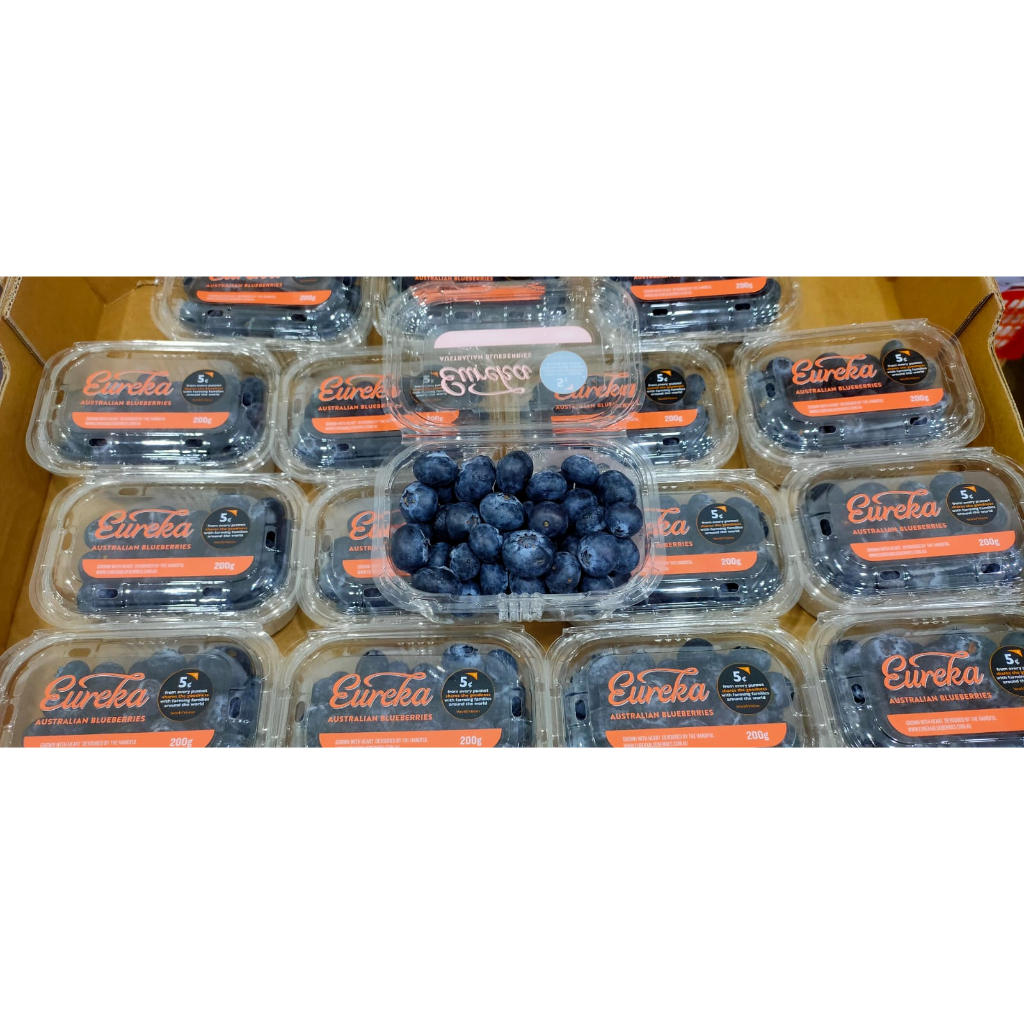 Jual Buah Blueberry Australia 200 gr Pack | Shopee Indonesia
