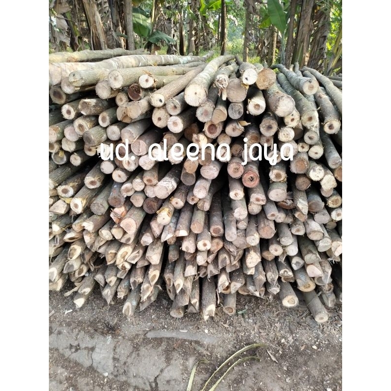 Jual kayu dolken dan bambu | Shopee Indonesia