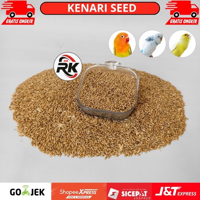 Jual KENARI SEED 500GRM | Shopee Indonesia