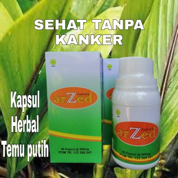 Jual Arzed Zedoaria Herbal Anti Kanker | Shopee Indonesia