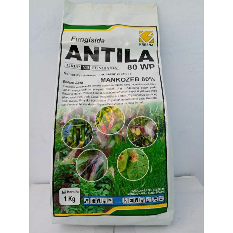 Jual ANTiLA 80wp 1kg | Shopee Indonesia