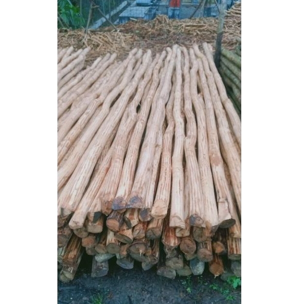 Jual dolken kayu keras Puspa kupas up 8 | Shopee Indonesia
