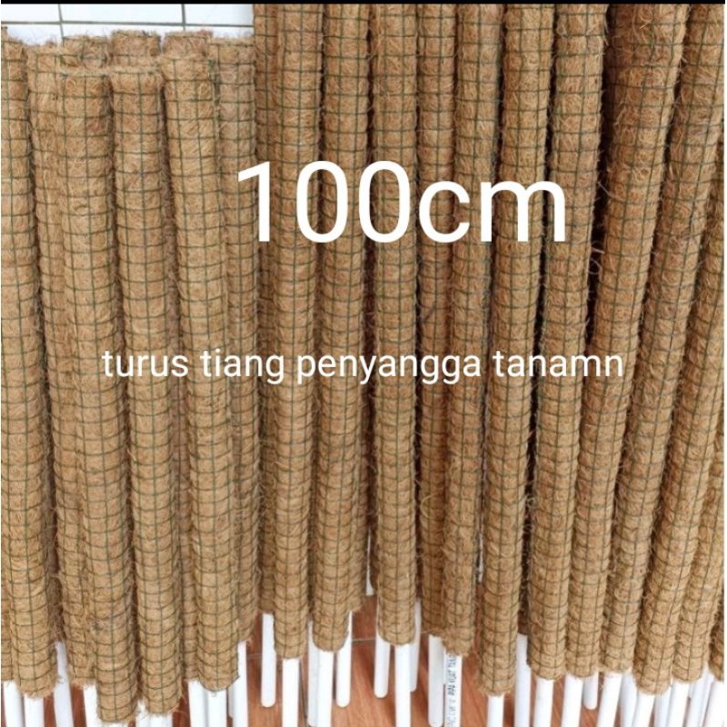 Jual Turus tiang penyangga tanamn 100cm | Shopee Indonesia