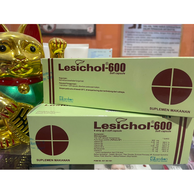 Jual LESICHOL 600 PER STRP | Shopee Indonesia