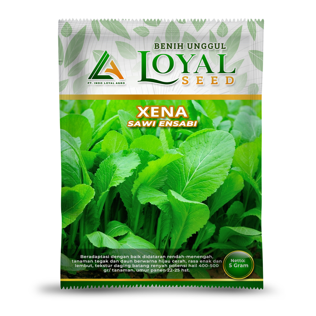 Jual BENIH SAWI ENSABI XENA 5 GRAM SAWI DAYAK SAWI KAMPUNG SAWI GUNUNG ...