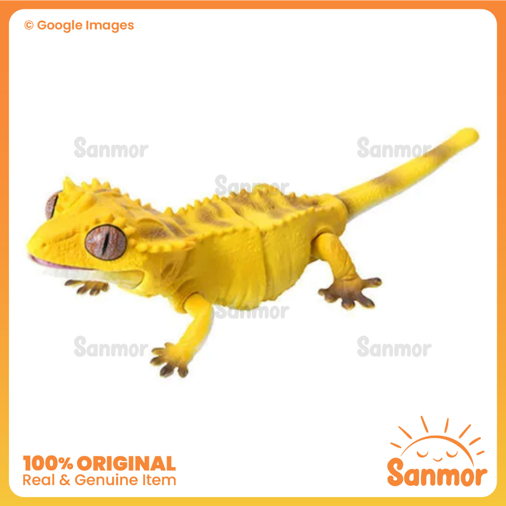 Jual Gachapon Gashapon Japan Ikimono Animal Encyclopedia Mini Reptile ...