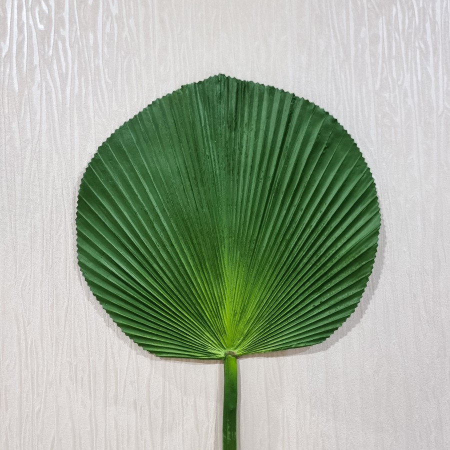Jual Daun Palem Kipas Lbr Fan Palm Artificial ( Ada 2 Ukuran ) | Shopee ...