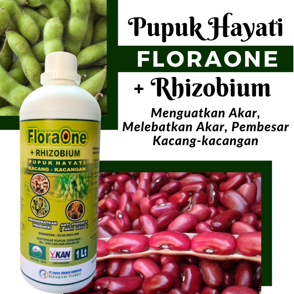 Jual Pemacu Pertumbuhan Tanaman, Pupuk Untuk Kacang Tanah Cegah Boleng ...