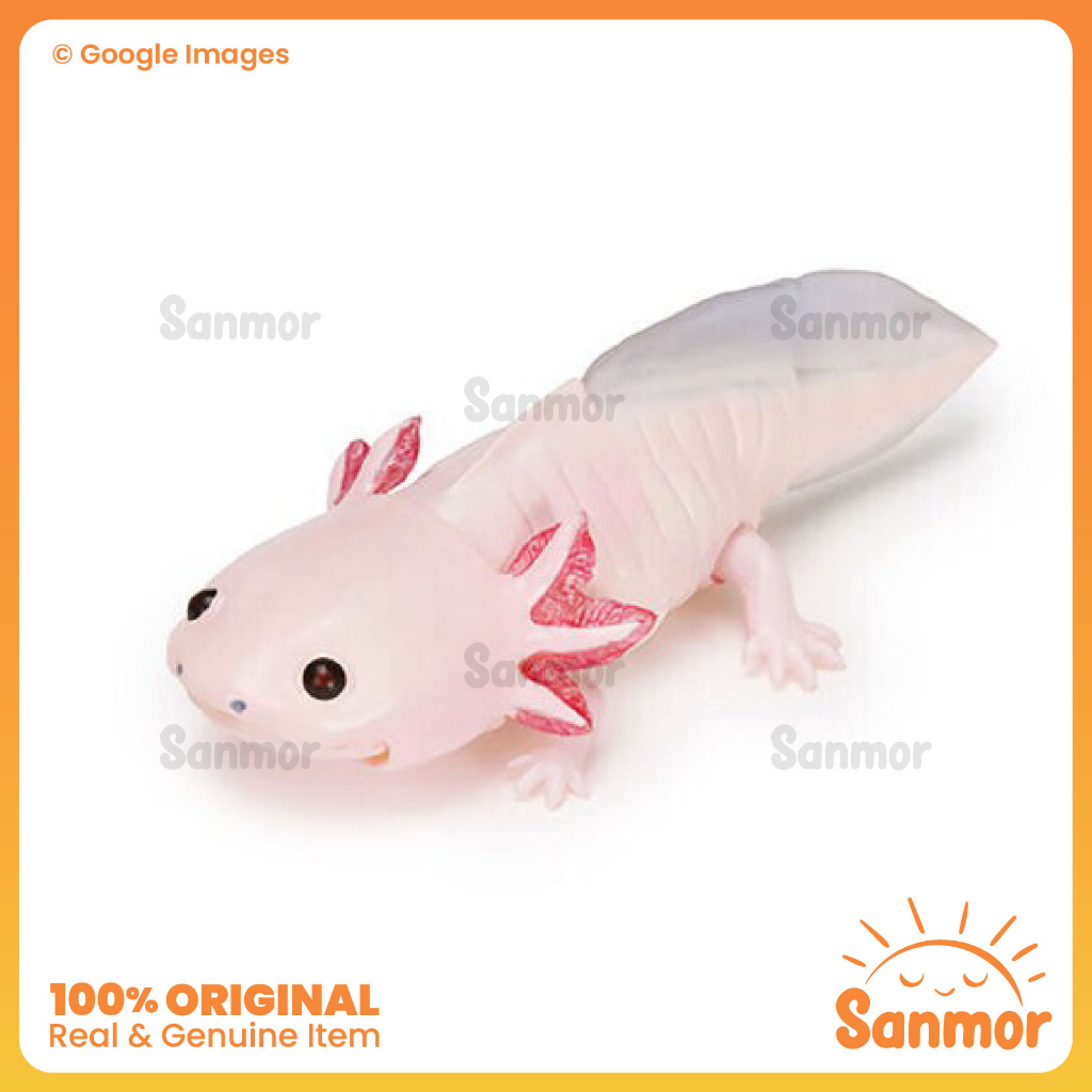 Jual Gachapon Gashapon Japan IKIMONO Daizukan Encyclopedia Reptil ...