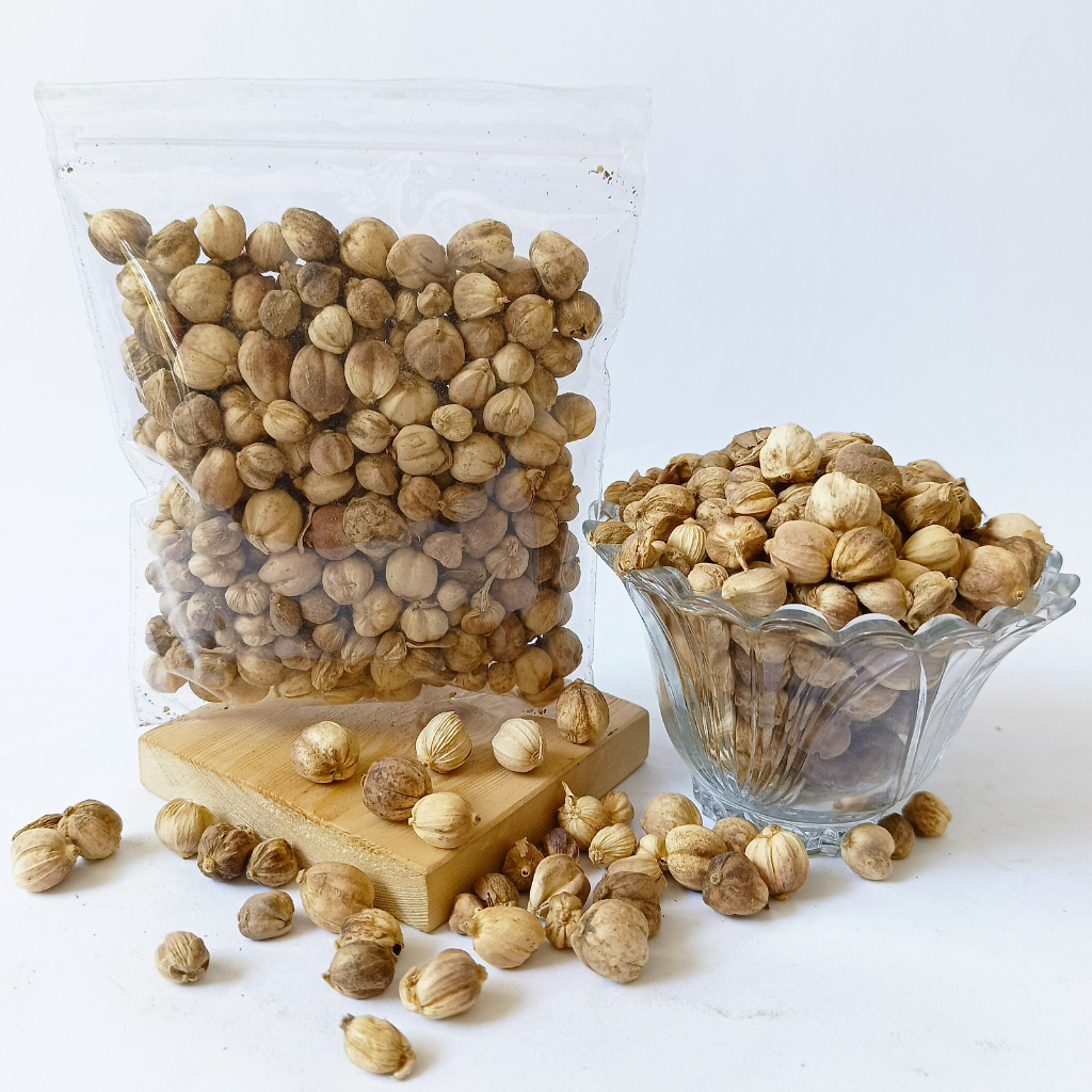 Jual KAPULAGA PUTIH ASLI 100% GRADE A PREMIUM | Shopee Indonesia