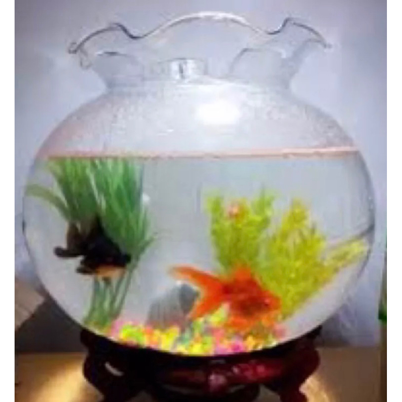 Jual Aquarium Kaca Bulat Toples 1,5lt 3,7l 4L 7L 12L Fish Bowl | Shopee ...