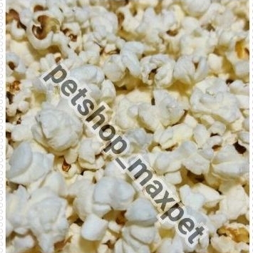 Jual makanan cemilan hamster popcorn pop corn jagung berondong 30 gr ...