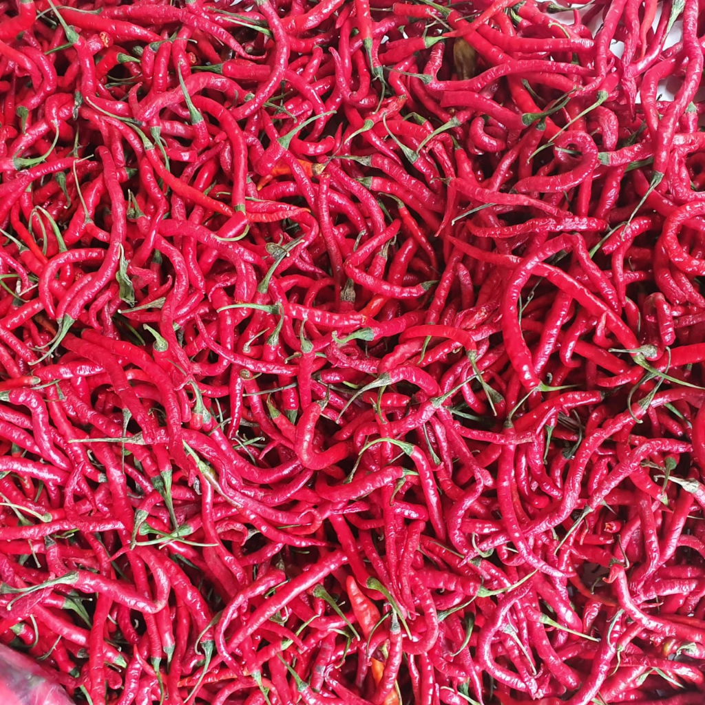 Jual Cabe 100 Gram | Shopee Indonesia