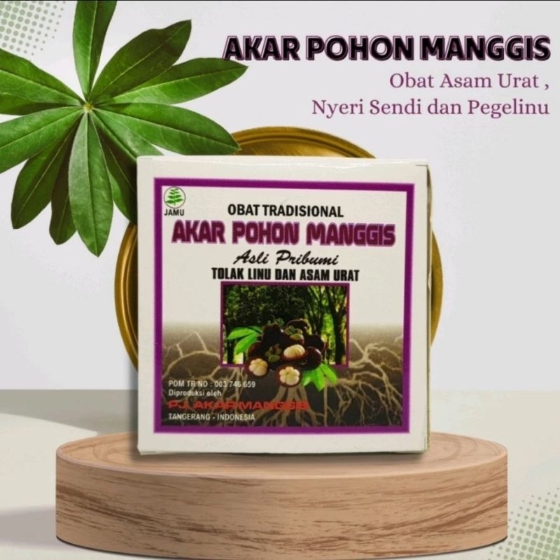 Jual Akar Pohon Manggis Original 1 Box | Shopee Indonesia