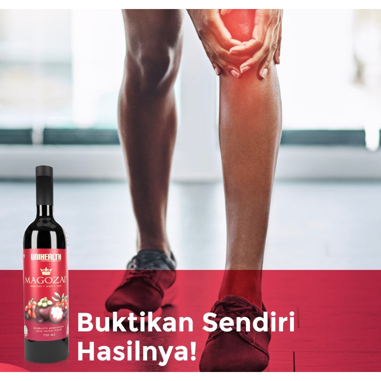 Jual Magozai Minuman Herbal Antioksidan 750 ML | Shopee Indonesia