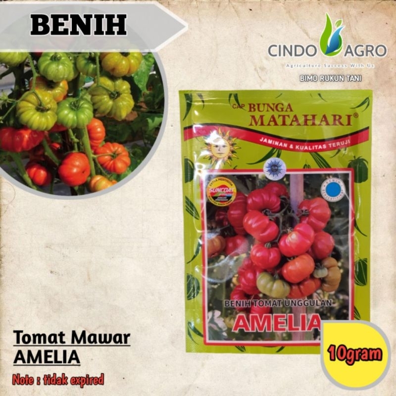 Jual Ranti AMELIA - 10gram | Shopee Indonesia