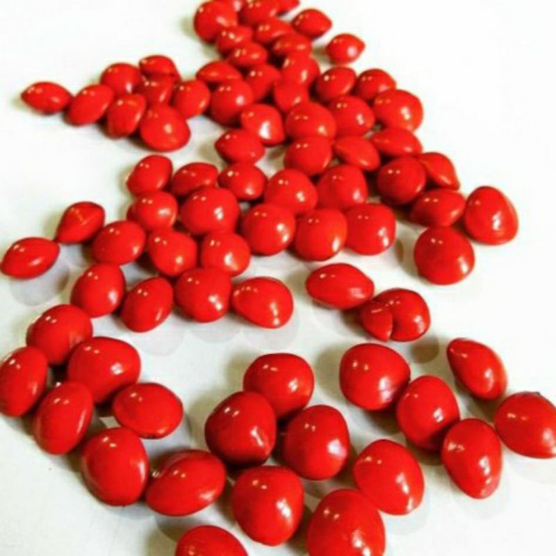 Jual Biji Saga/Saga Tunteng/sogok Telik Merah | Shopee Indonesia
