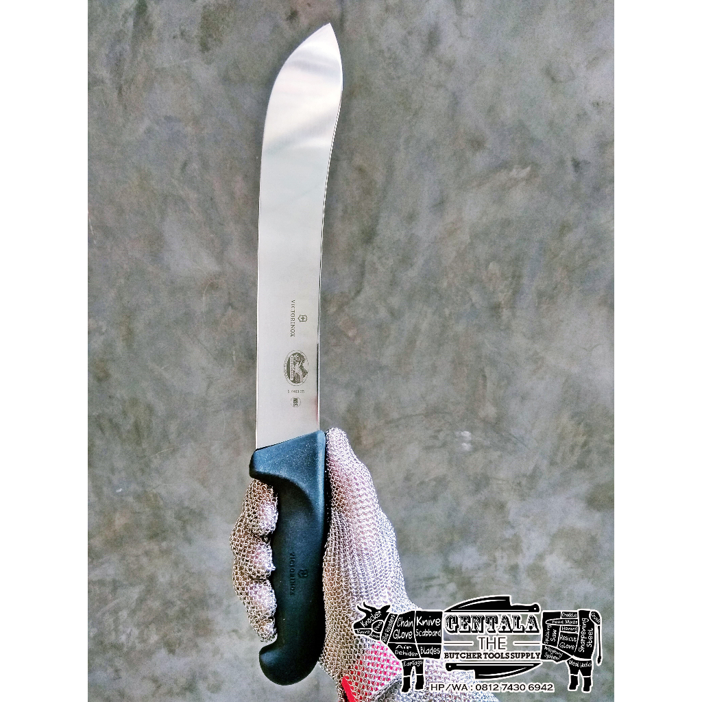 Jual Pisau Victorinox Bullnose 25cm Butcher Knife Fibrox | Shopee Indonesia