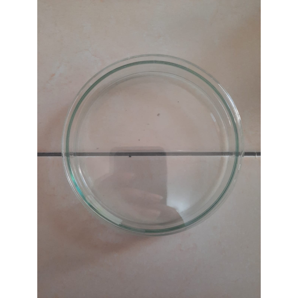 Jual Cawan petri kaca diameter 12 cm &plastik 9 cm | Shopee Indonesia