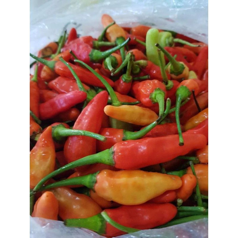 Jual Cabe Rawit Merah 100-500gram / Cabai Rawit Merah Segar | Shopee ...