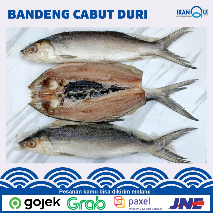 Jual Ikan bandeng cabut duri 1Kg (Bersih tulang dan duri) Bandeng ...
