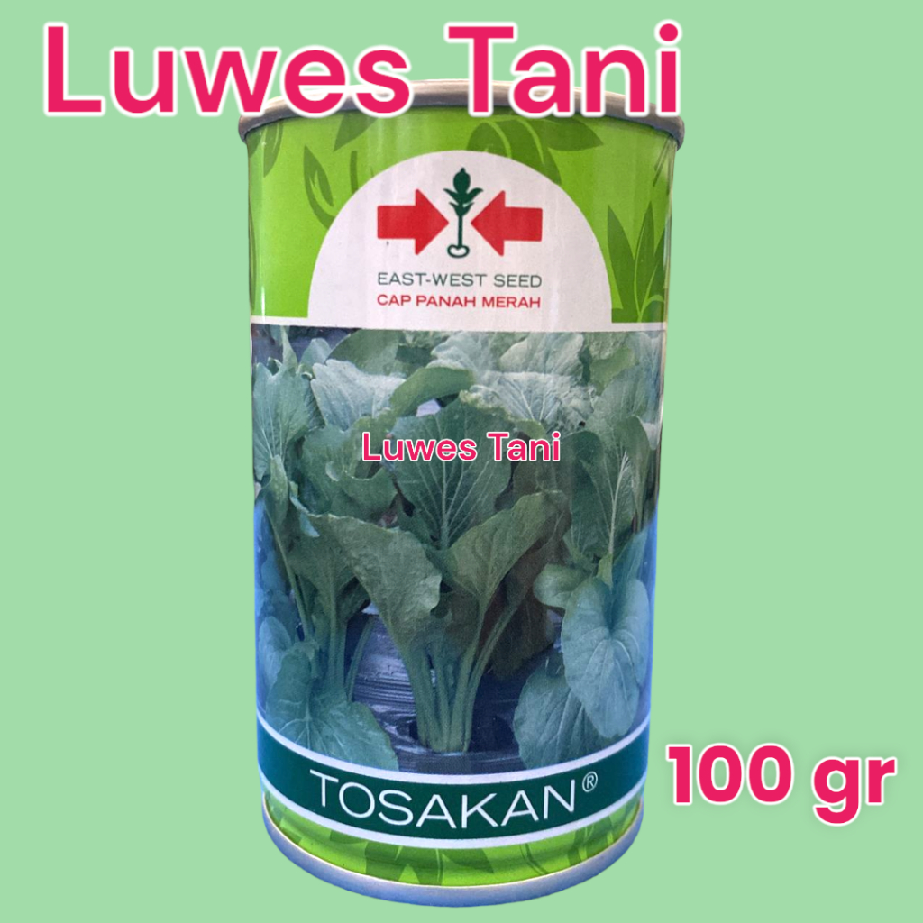 Jual Benih caisim sawi tosakan 100gram kaleng | Shopee Indonesia