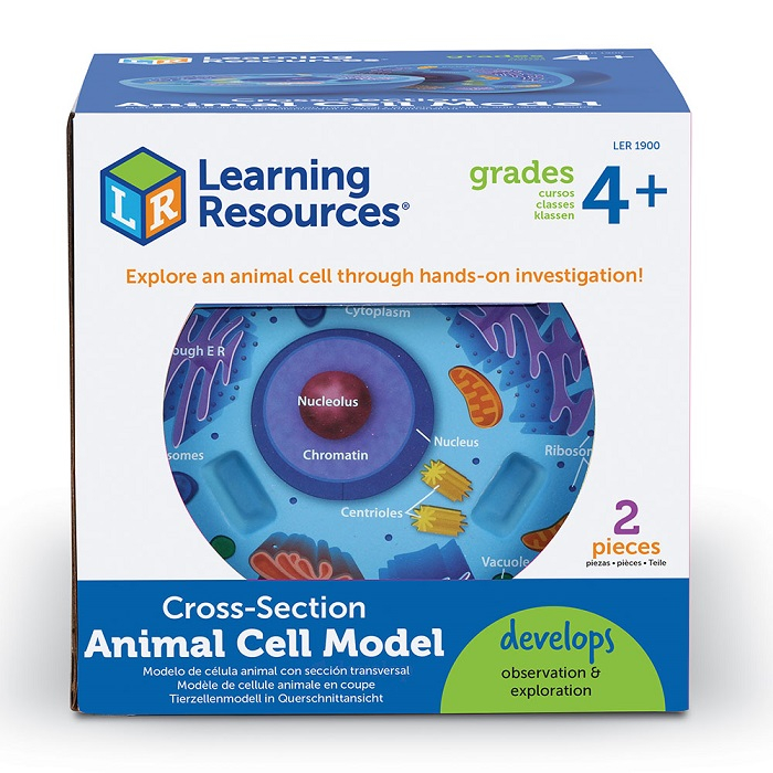 Jual Learning Resources Cross-Section Animal Cell Model | Shopee Indonesia
