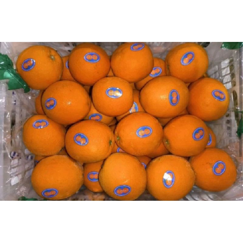 Jual Jeruk Navel Sunkist Import Buah Segar 500g | Shopee Indonesia
