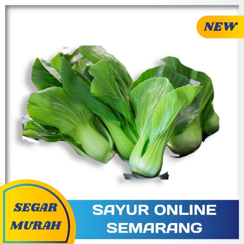 Jual Pakcoy Pakchoy Sawi Sendok | Shopee Indonesia