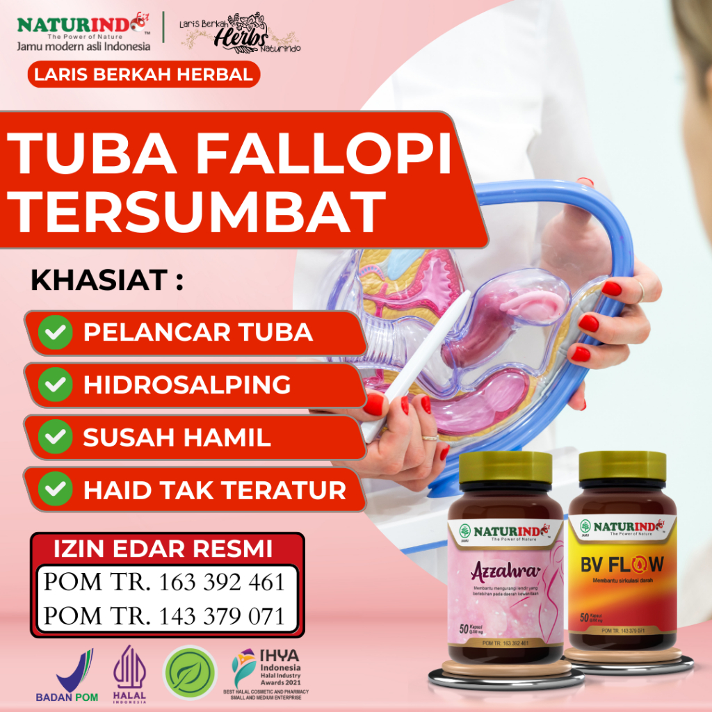 Jual Obat Tuba Falopi Tersumbat Hidrosalping Pelancar Saluran Tuba ...