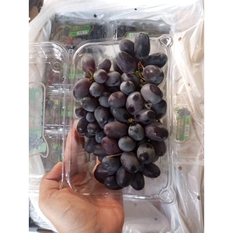 Jual Anggur hitam tanpa biji / Black Seedless | Shopee Indonesia