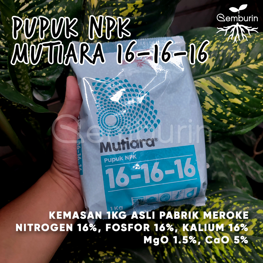 Jual Pupuk NPK Mutiara 16-16-16 Biru 1 kg Kemasan Pabrik Meroke / Asli ...
