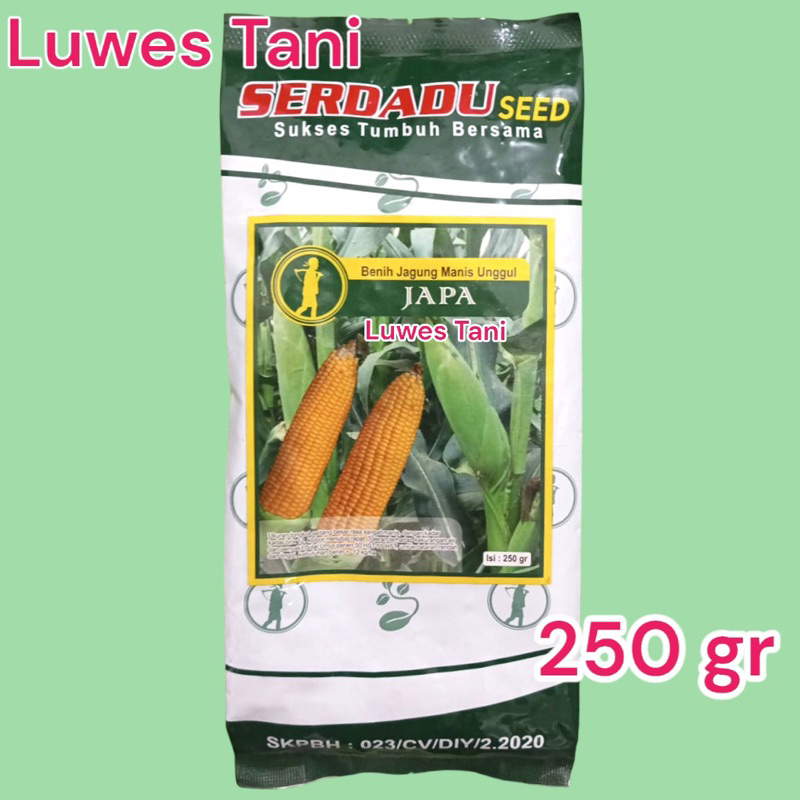 Jual Benih Jagung Manis Unggul Japa Cap Serdadu Seed 250 gr (kemasan ...