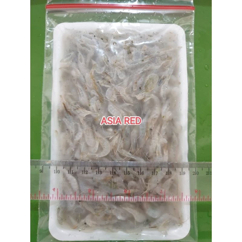 Jual Udang beku segar / Fresh pakan ikan predator / Arwana Terbaik ...