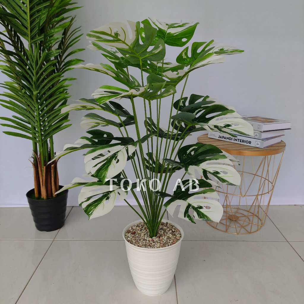 Jual TANAMAN HIAS DAUN PLASTIK BESAR DAUN MONSTERA VARIEGATA JUMBO D24 ...