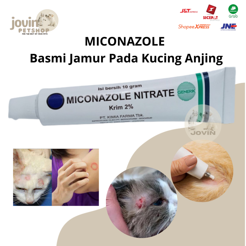 Jual SALEP MICONAZOLE 10gr Basmi Jamur Kucing & Anjing | Shopee Indonesia