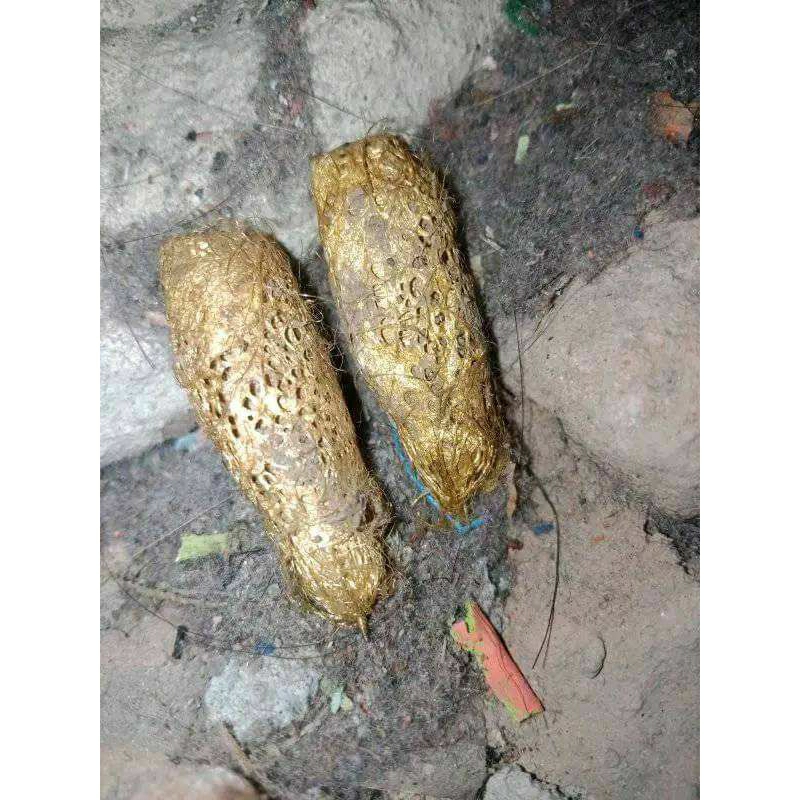 Jual besi kuning ampuh kepompong | Shopee Indonesia